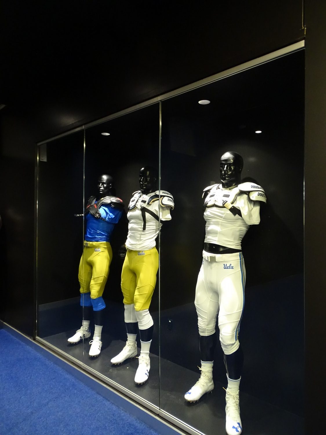 UCLA - Wasserman Football Center * L2 Specialties